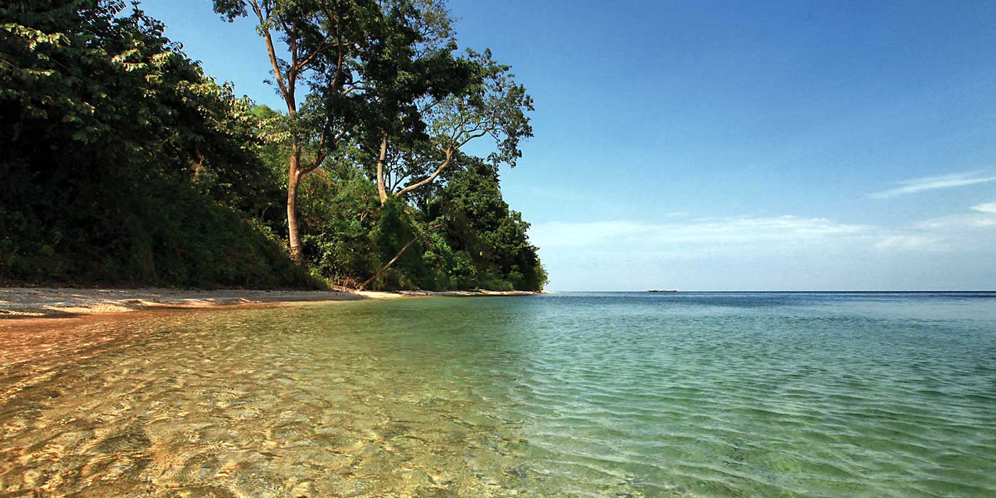 Gombe Stream National Park & Mountain Chimps - Sunny Safaris