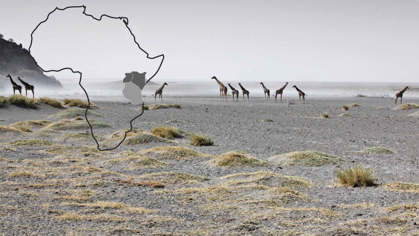 Sunny Safaris Ltd. - Tanzania Safari Tour Operator