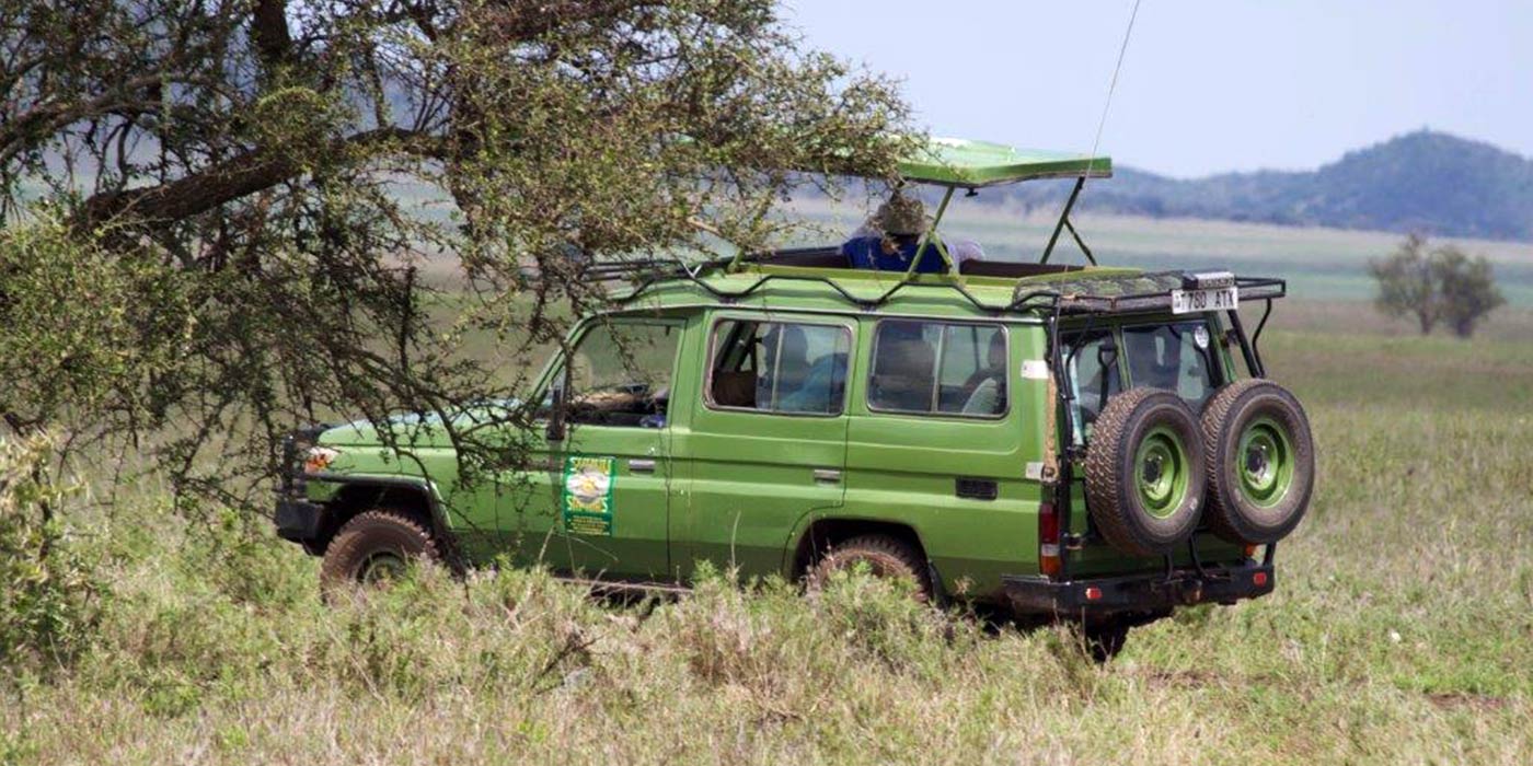Sunny Safaris. Tanzania Safari Specialists for over 30 years!